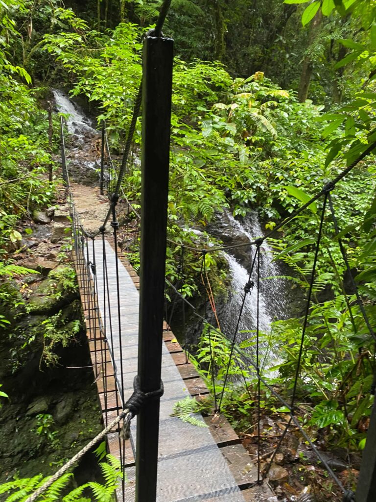 Costa Rica - Countless Postcards